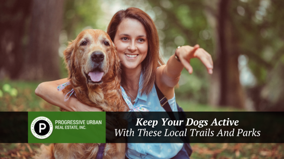 Share article Keep Your Dogs Active With These Local Trails And Parks ...